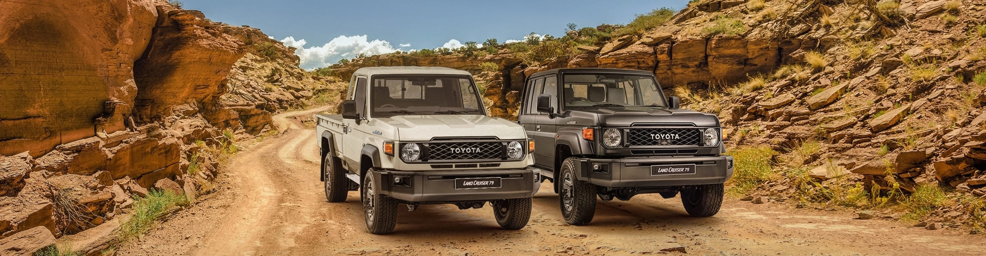 Vehicle banner