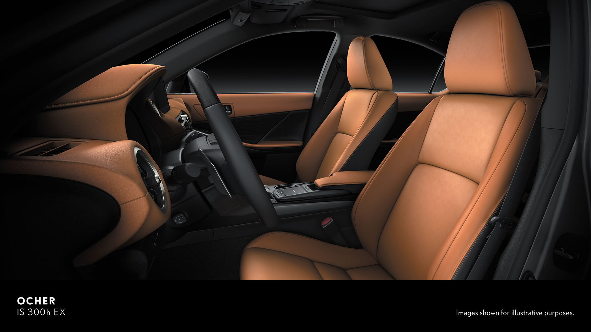 Lexus IS Interior Trim