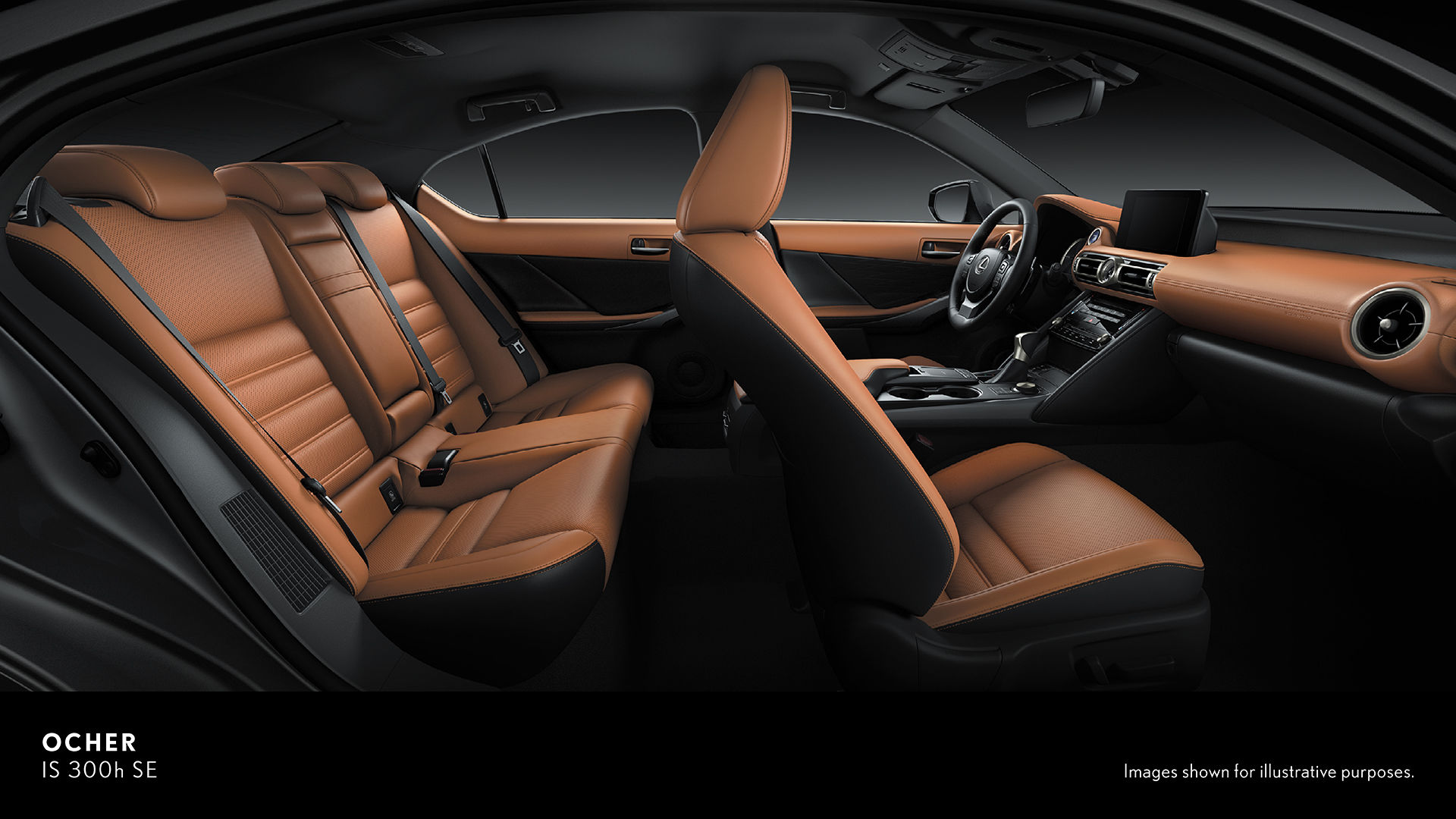 Lexus IS Interior Trim