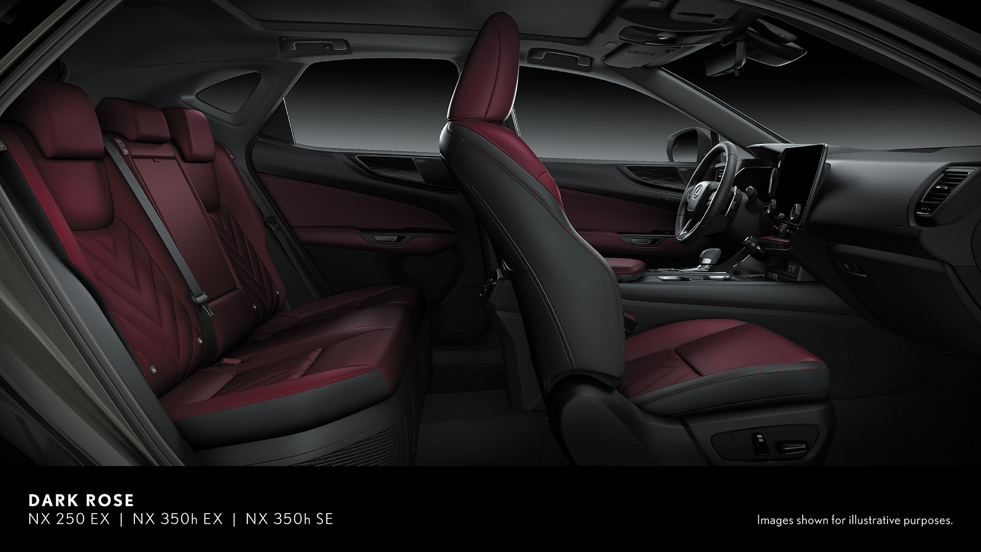 Lexus NX Interior Trim