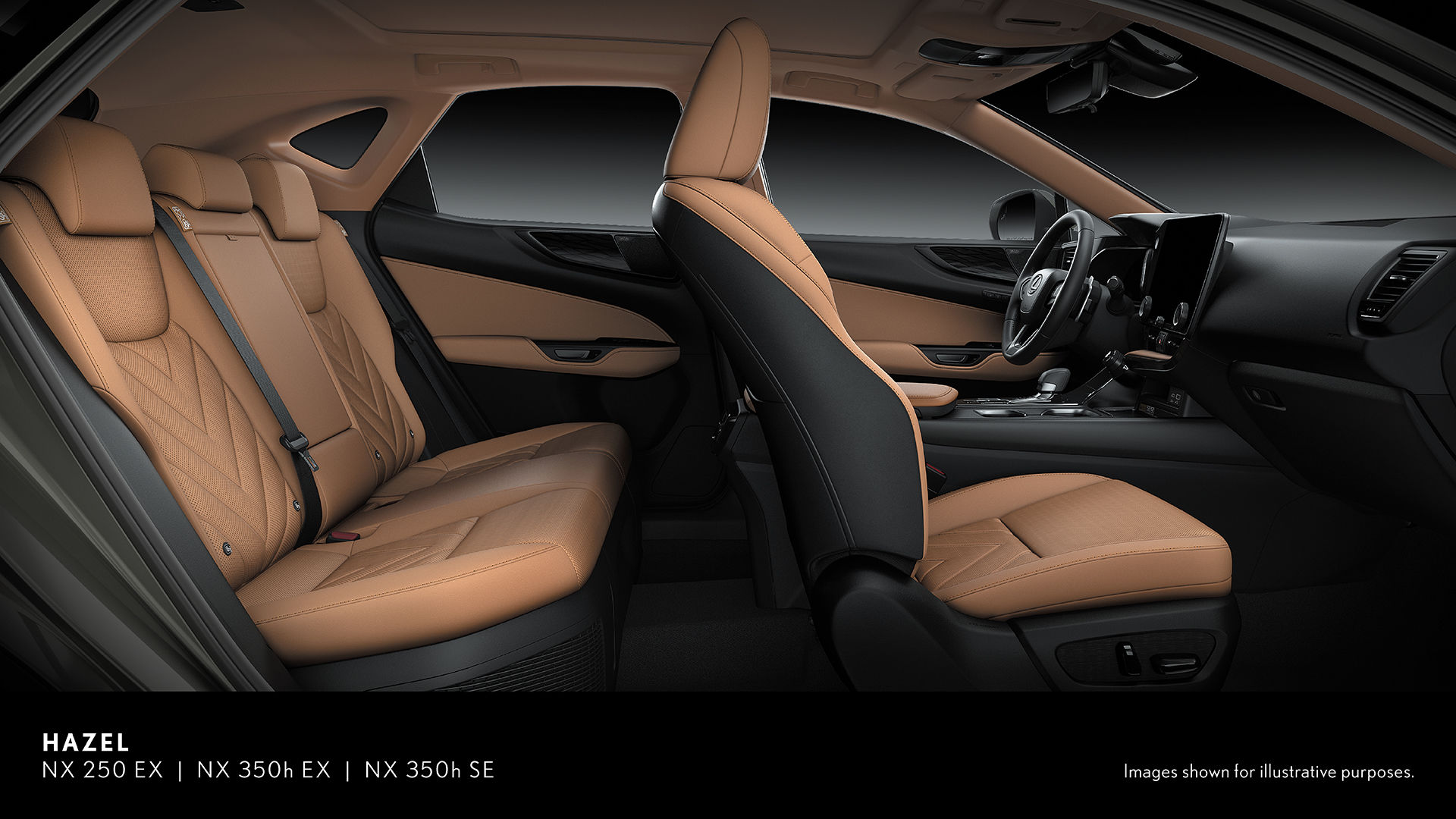 Lexus NX Interior Trim