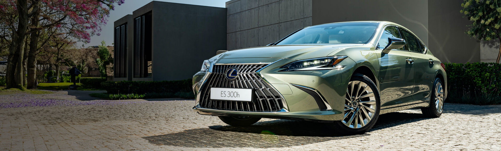 LEXUS FINANCIAL SERVICES