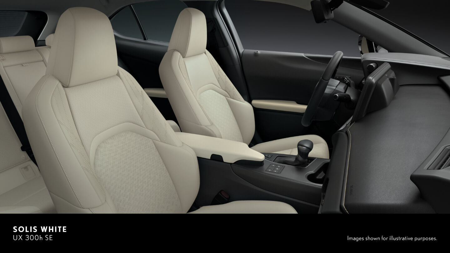 Lexus UX Interior Trim