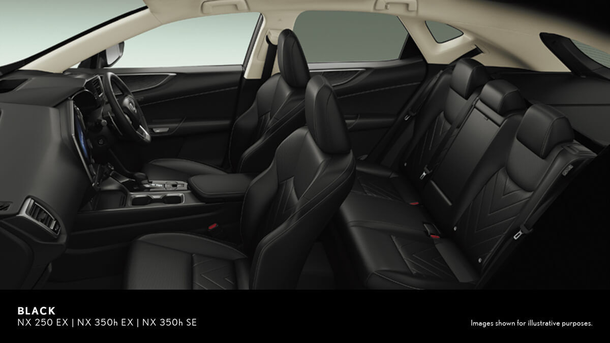 Lexus NX Interior Trim