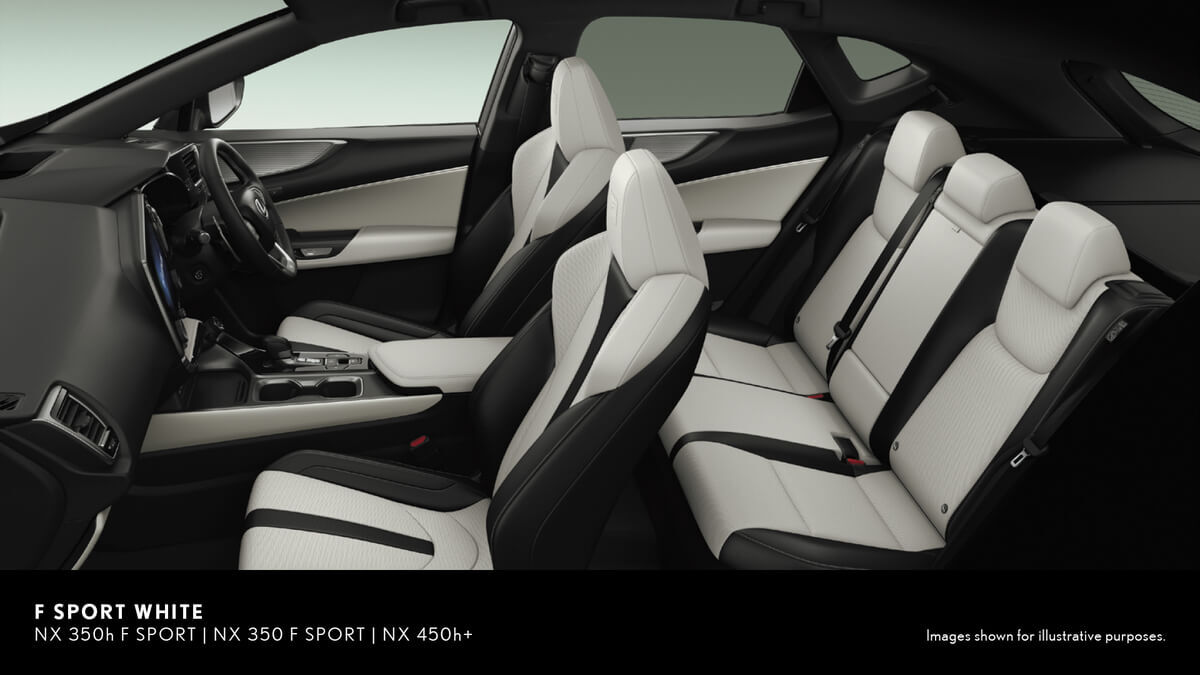 Lexus NX Interior Trim