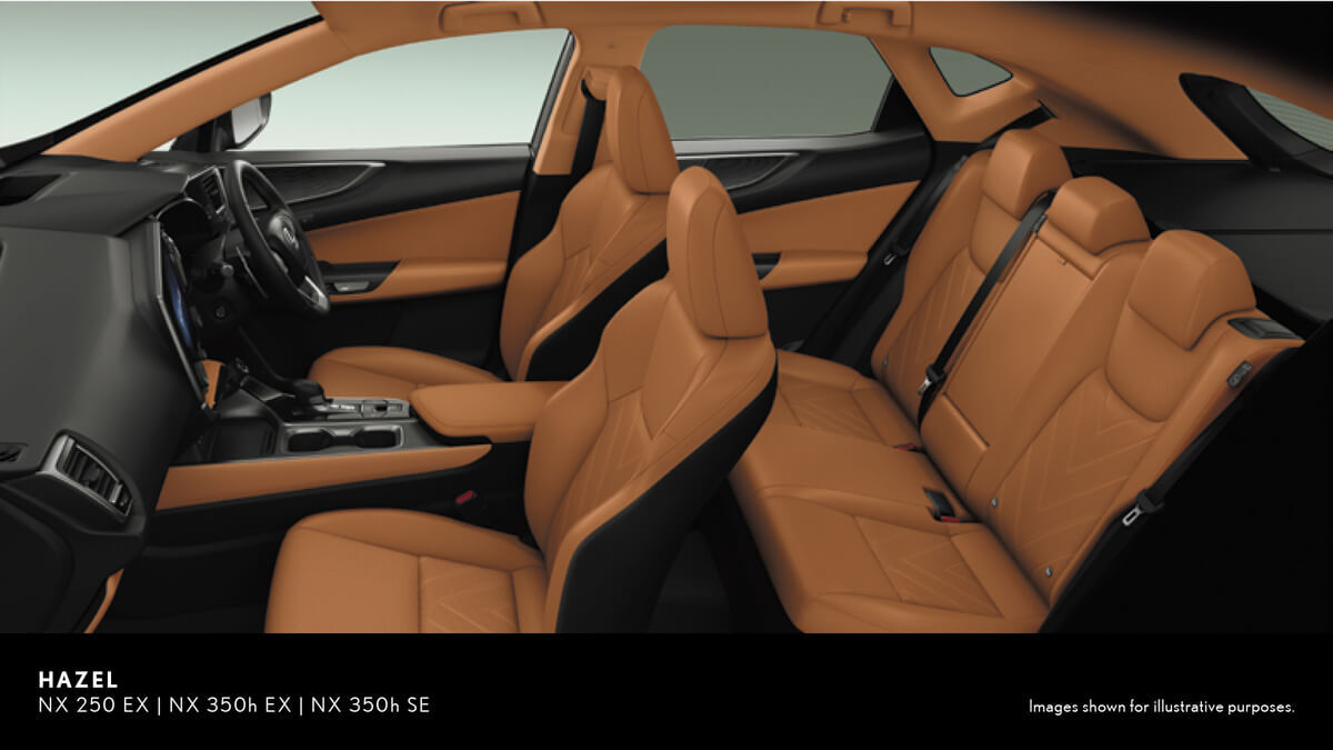 Lexus NX Interior Trim