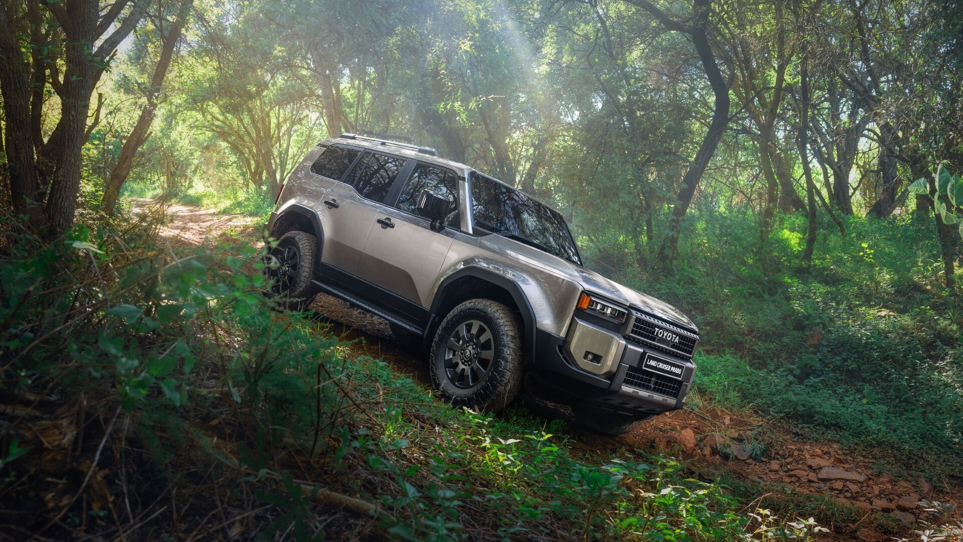 New Generation Exterior